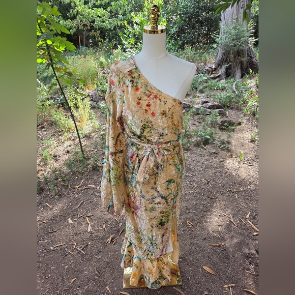 HEMANT & NANDITA | Dresses | Hemant Nandita Multicolor Oneshoulder ...